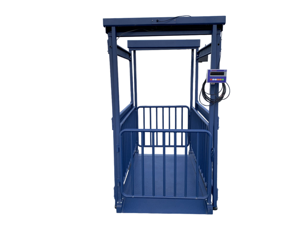 Heavy-Duty Livestock Scale 1000 lb | Accurate Weighing