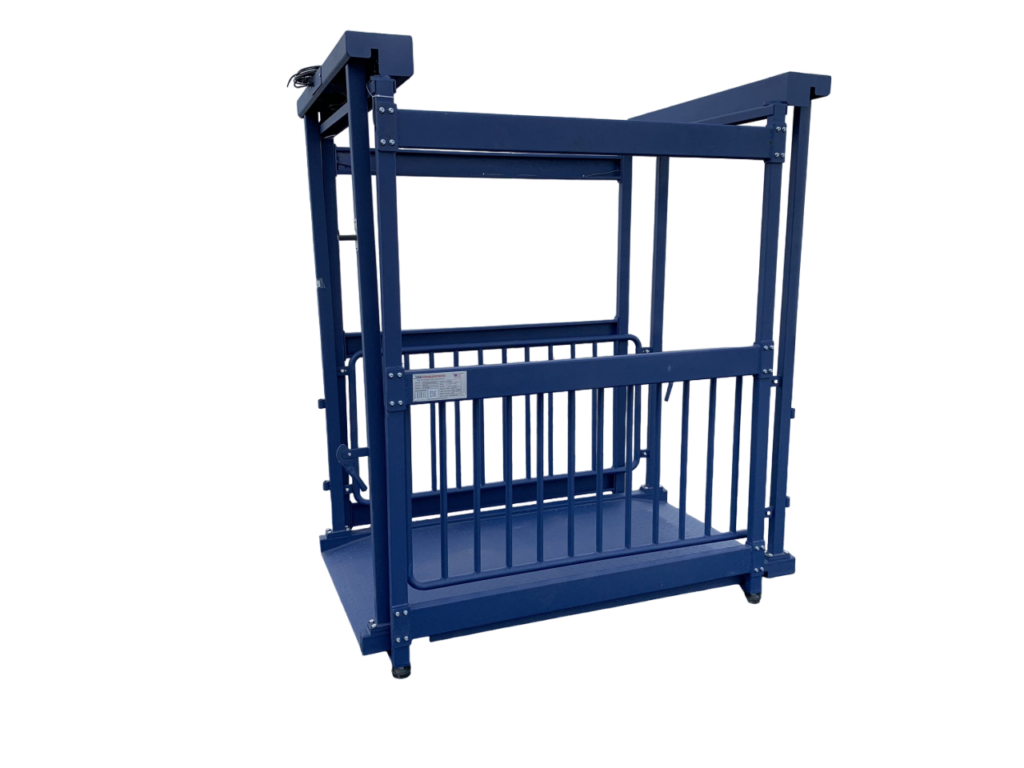 Heavy-Duty Livestock Scale 1000 lb | Accurate Weighing