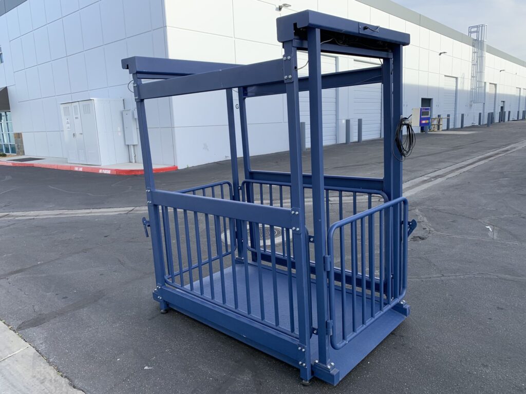 1000 lb x 1 lb Cattle Scale | Accurate Livestock Weighing